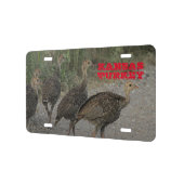 Kansas Wild Turkey on a road License Plate | Zazzle