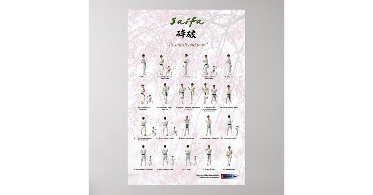 Kata Saifa - GKR version Poster | Zazzle