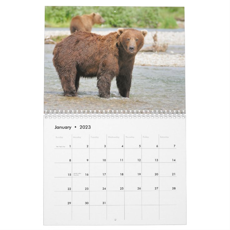 Katmai Bears Calendar | Zazzle