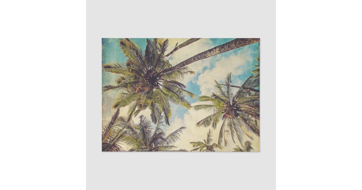 Kauai Hawaii Coco Palm Tree Tissue Paper | Zazzle