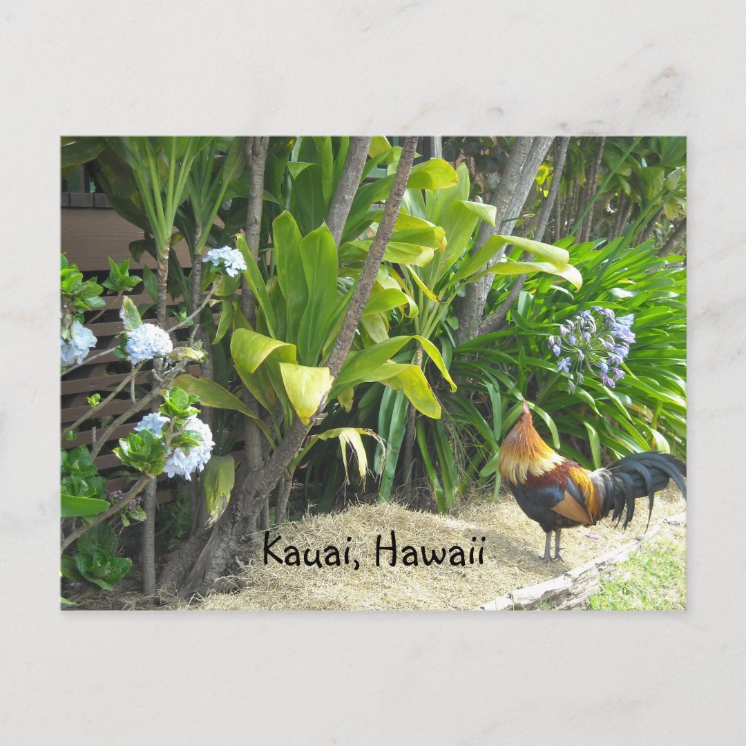 Kauai, Hawaii Postcard | Zazzle