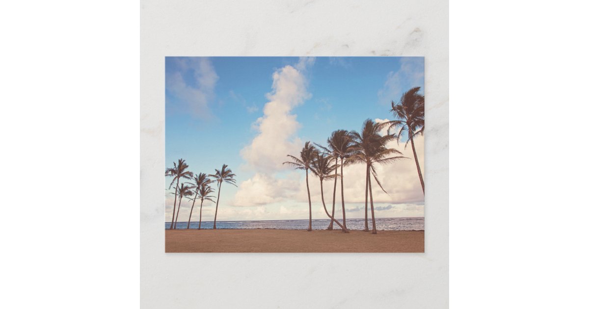 Kauai Island Palm Trees Postcard | Zazzle