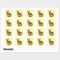 Kawaii Cute Bunny Rabbit Square Sticker | Zazzle