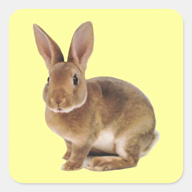 Kawaii Cute Bunny Rabbit Square Sticker | Zazzle