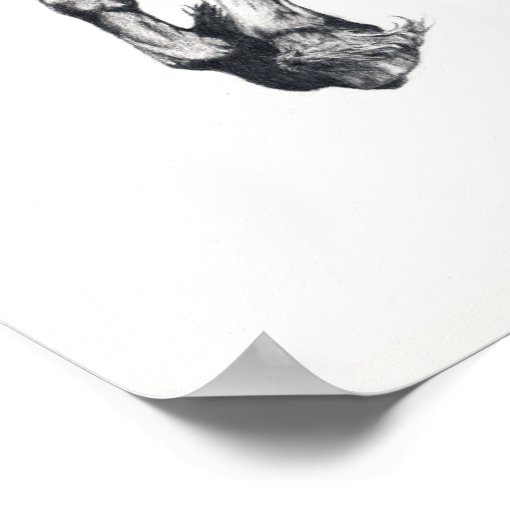 Keegan Jewel Friesian Stallion Poster | Zazzle