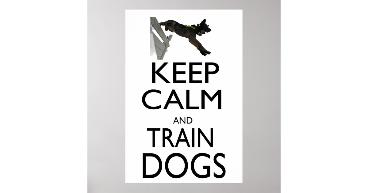 Keep Calm and Train Dogs Poster | Zazzle