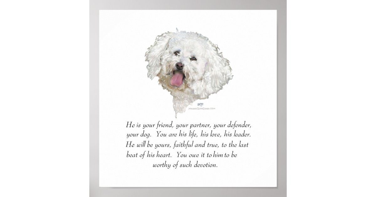 Keepsake, Male Dog Poster | Zazzle