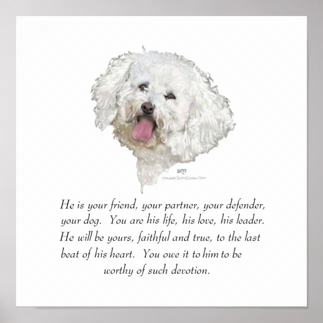 Keepsake, Male Dog Poster | Zazzle