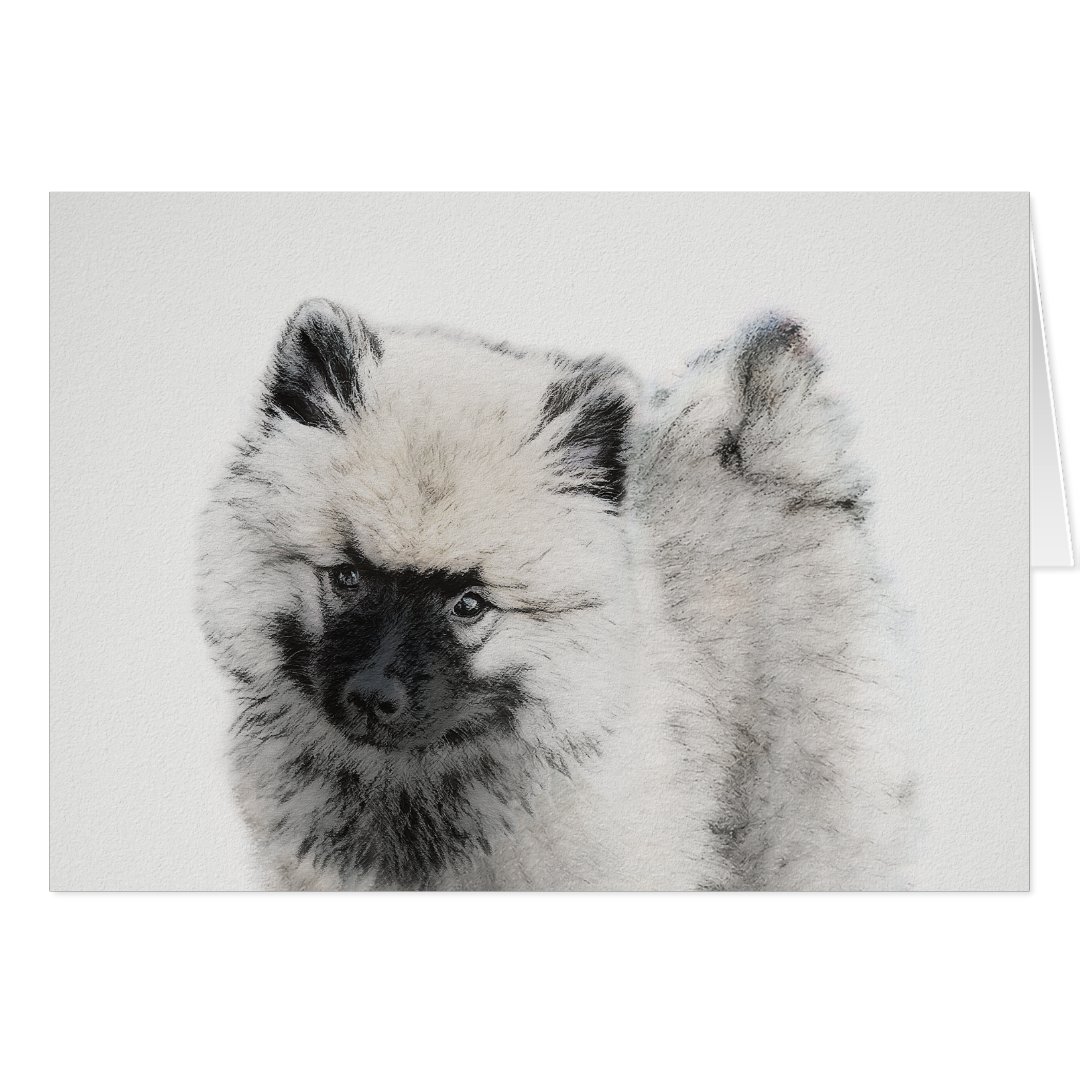 Keeshond Puppy Drawing - Cute Original Dog Art | Zazzle