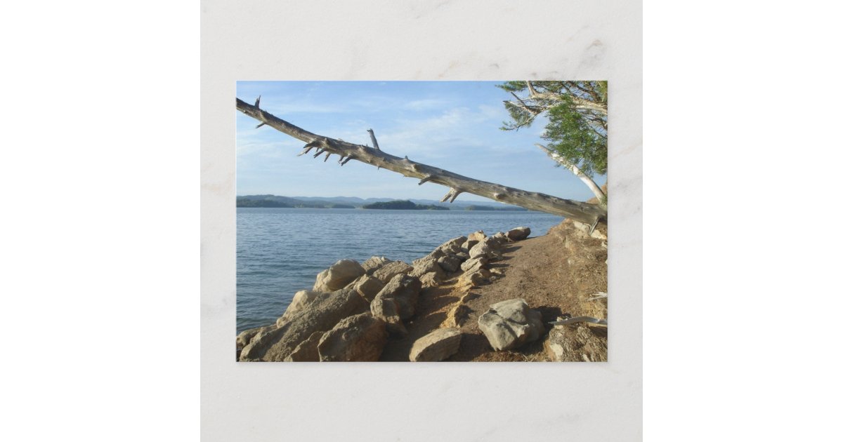 Kentucky Lake Shoreline Post Card | Zazzle