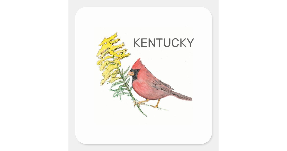 Kentucky state bird and flower square sticker | Zazzle