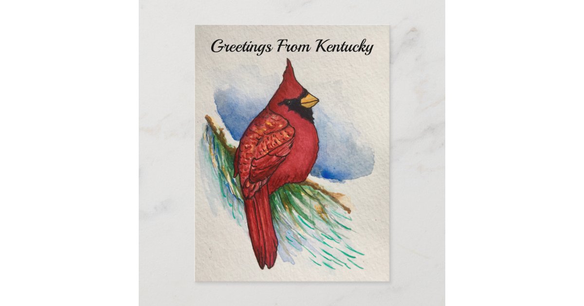 Kentucky State Bird Cardinal Water-colour Postcard | Zazzle