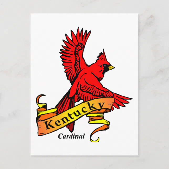 Kentucky State Bird Postcard | Zazzle