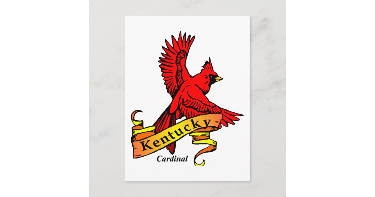 Kentucky State Bird Postcard | Zazzle