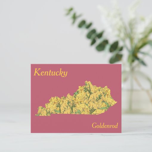 Kentucky State Flower Collage Map Postcard | Zazzle