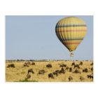 Maasai People Postcard | Zazzle.com