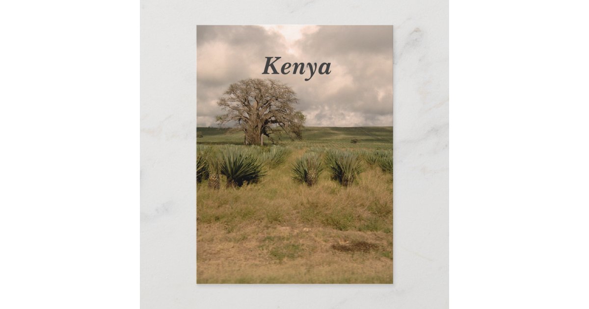 Kenya Postcard | Zazzle