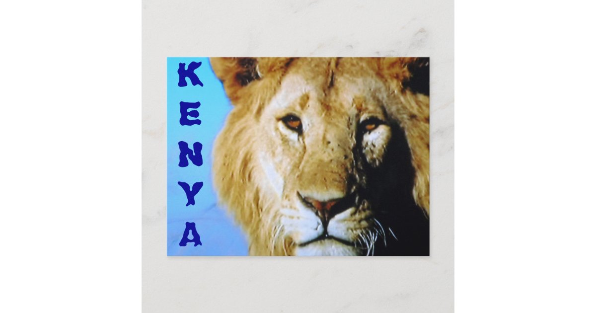 Kenya safari postcard | Zazzle