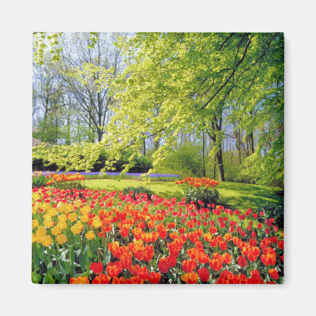 KEUKENHOF GARDENS, LISSE HOLLAND MAGNET | Zazzle