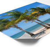 Key Biscayne palms Poster | Zazzle