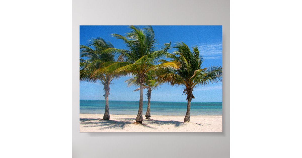 Key Biscayne palms Poster | Zazzle