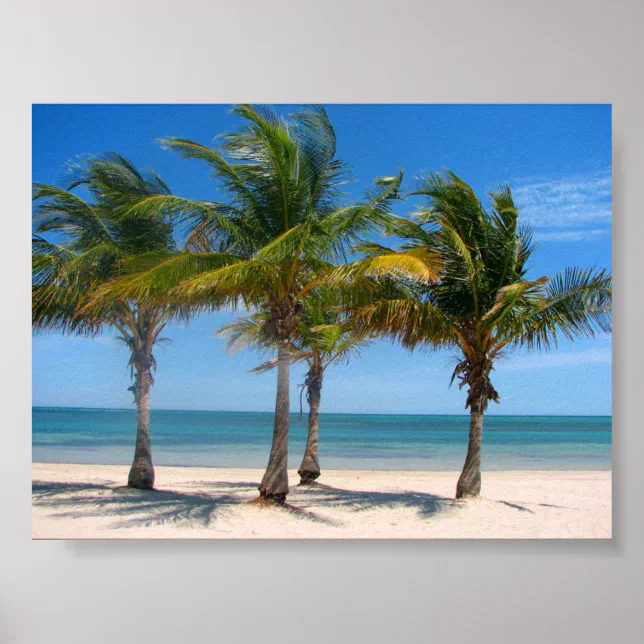 Key Biscayne palms Poster | Zazzle