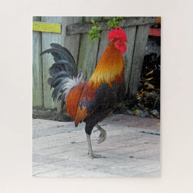 Key West Gypsy Rooster Design Jigsaw Puzzle | Zazzle