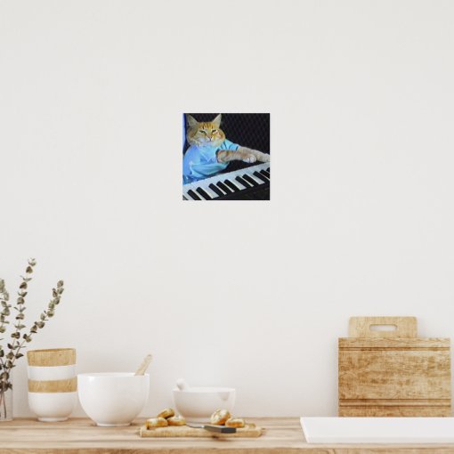 Keyboard Cat Canvas Print! Poster | Zazzle