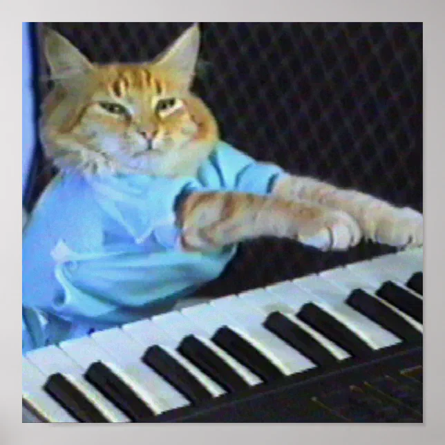 Keyboard Cat Canvas Print! Poster | Zazzle