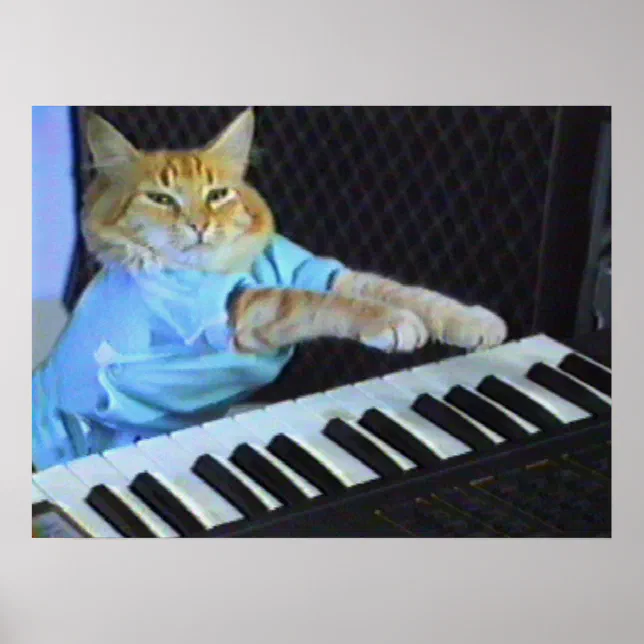Keyboard Cat Wall Poster! Poster | Zazzle