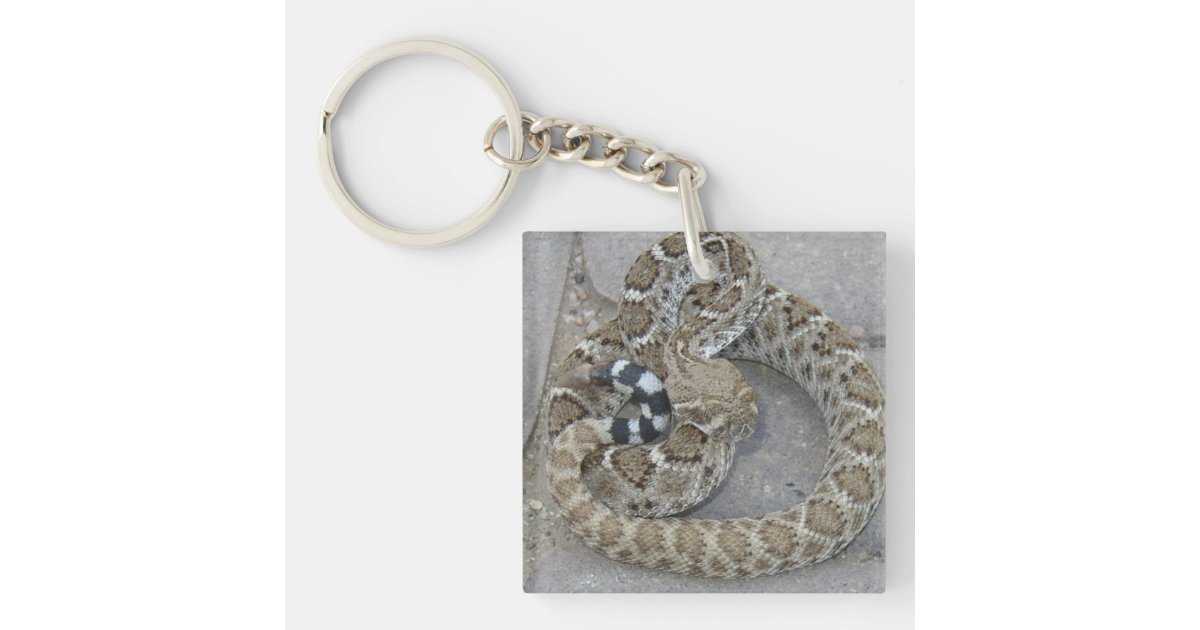Keychain with Baby Rattlesnake | Zazzle