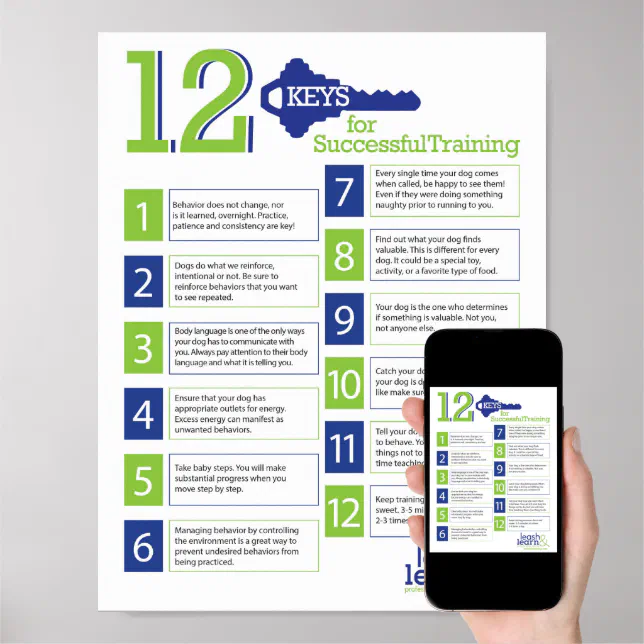 Keys for Successful Dog Training Poster | Zazzle
