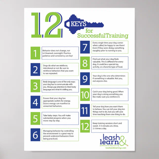 Keys for Successful Dog Training Poster | Zazzle