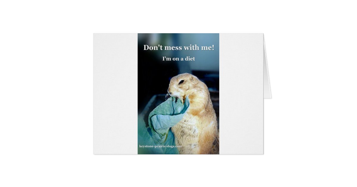 Keystone Prairie Dog diet meme | Zazzle