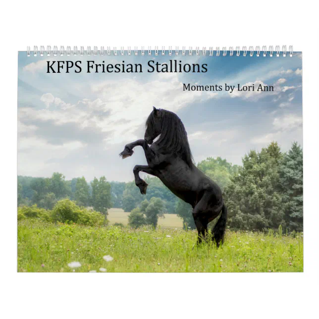 KFPS Friesian Stallion Calendar | Zazzle