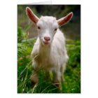 Goat Princess Happy Birthday Card | Zazzle.com