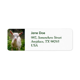 Goat Return Address Labels & Templates | Zazzle