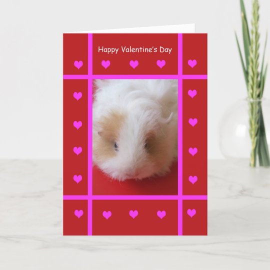 Kid Guinea Pig Valentine Card | Zazzle.com
