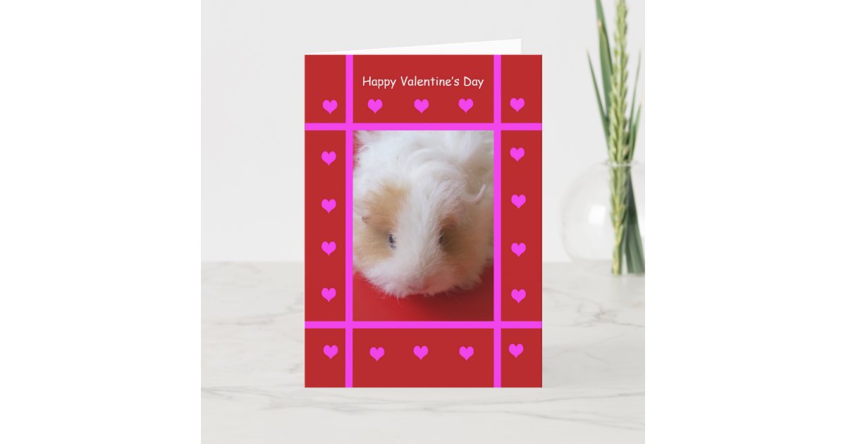 Kid Guinea Pig Valentine Card | Zazzle