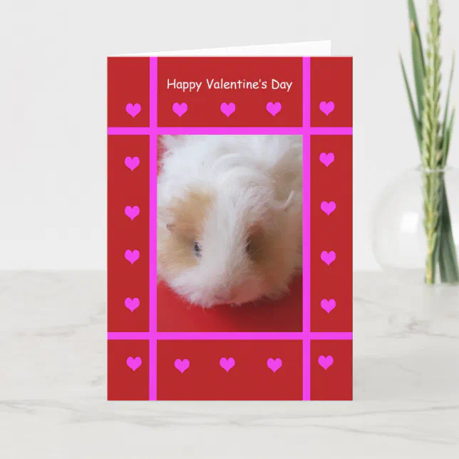 Kid Guinea Pig Valentine Card | Zazzle