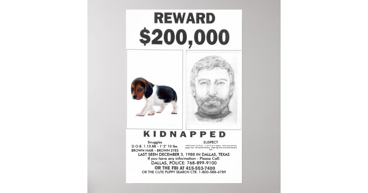 Kidnapped Fully CUSTOMIZABLE Poster REWARD | Zazzle