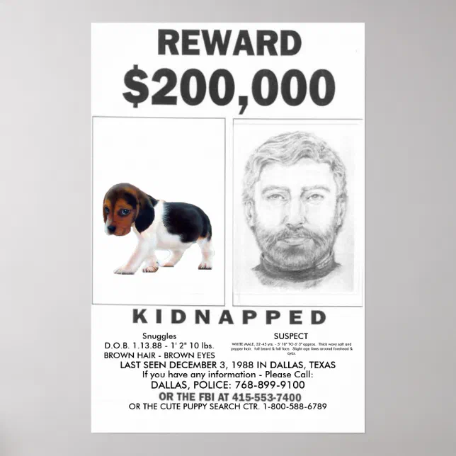 Kidnapped Fully CUSTOMIZABLE Poster REWARD | Zazzle