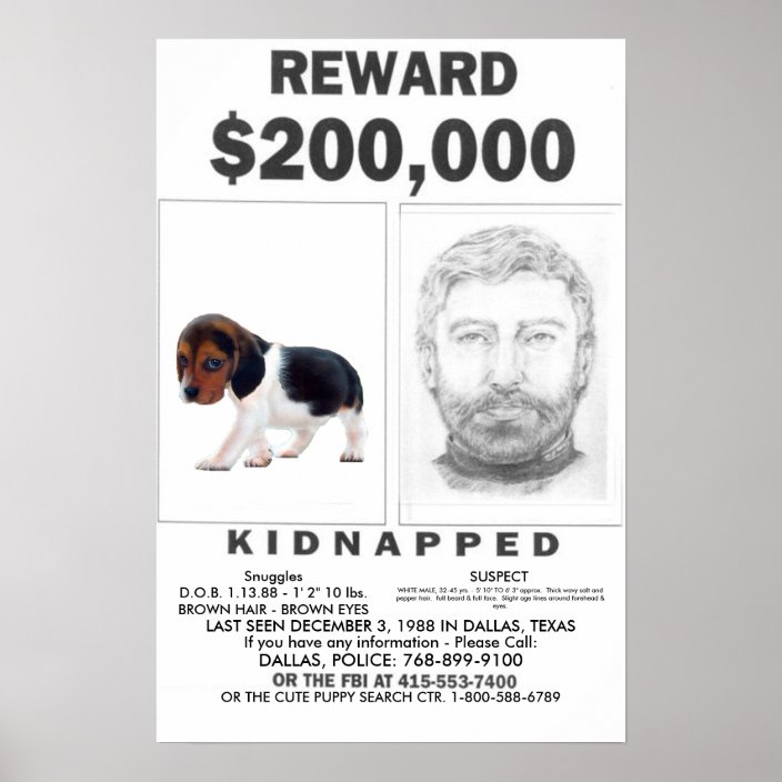 Kidnapped Fully CUSTOMIZABLE Poster REWARD | Zazzle.com