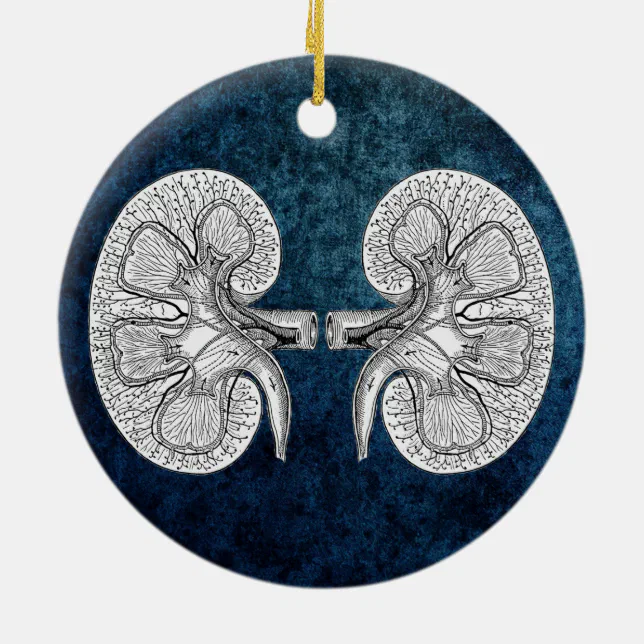 KIDNEY 2 DRAWING CERAMIC ORNAMENT | Zazzle