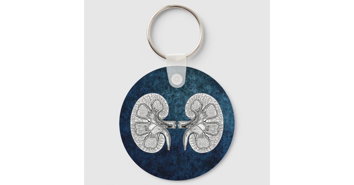 KIDNEY 2 DRAWING KEYCHAIN | Zazzle