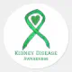 Kidney Disease Awareness Ribbon Art Sticker Decals | Zazzle
