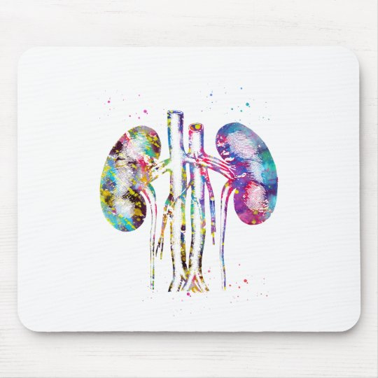 Kidneys anatomy mouse pad | Zazzle.com