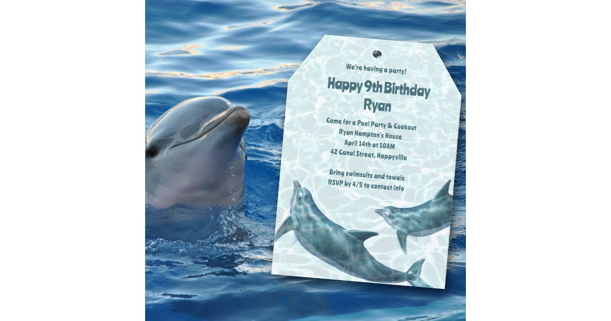 Kids Dolphin Birthday Party Invitations | Zazzle