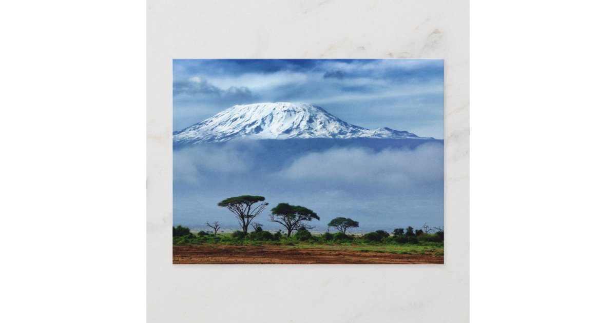 Kilimanjaro Kenya Postcard | Zazzle.com