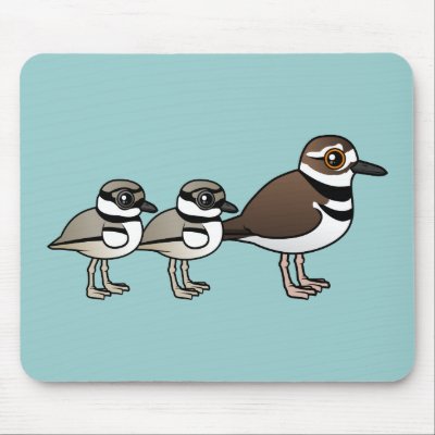 Killdeer - Birdorable Blog